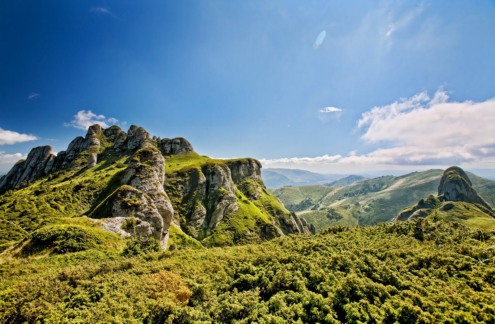 Banco de Imágenes Gratis: Fotos de Stock I (Imágenes sin Royalties de ...