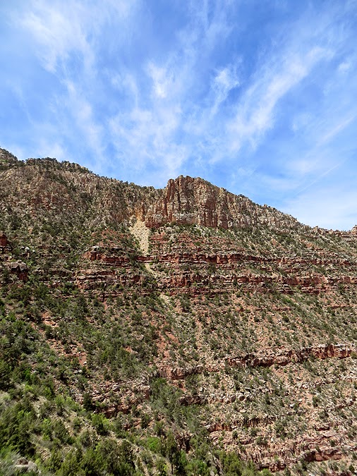 Hiking in the White Mountains: Grand Canyon: Horseshoe Mesa