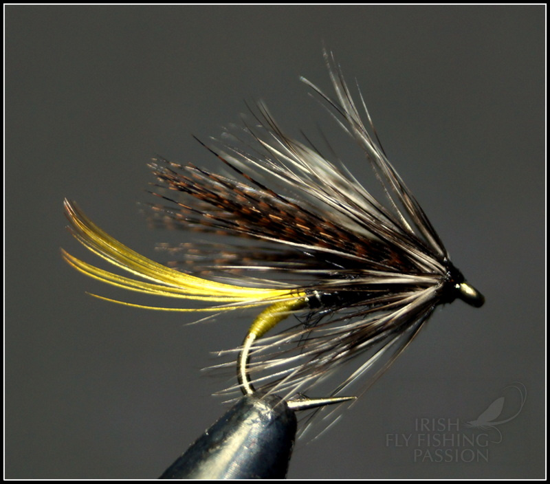 Irish fly fishing passion: "Celtic wet fly"