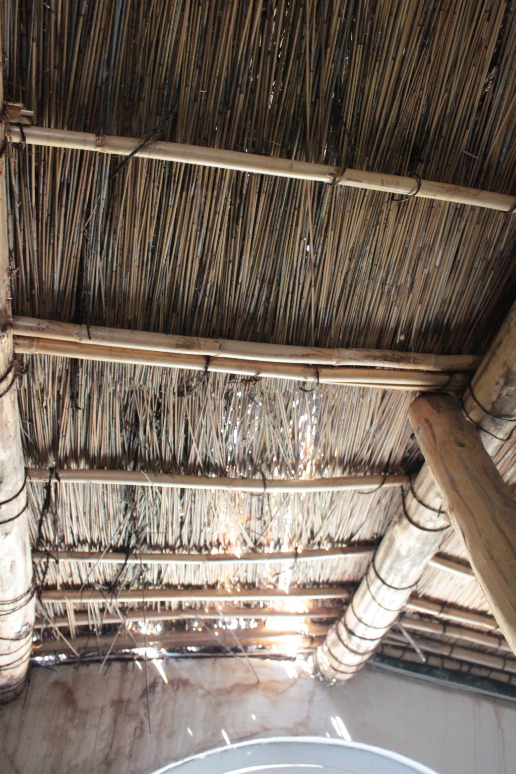 Towerwater Aan De Breede: Vernacular crafts and thatch roof repairs