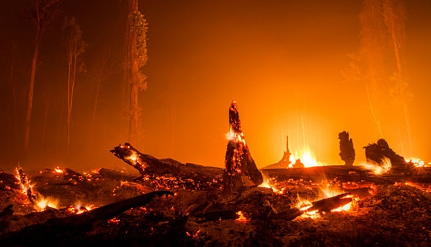 Panduan Dan Langkah Keselamatan : Kebakaran Di Sekolah