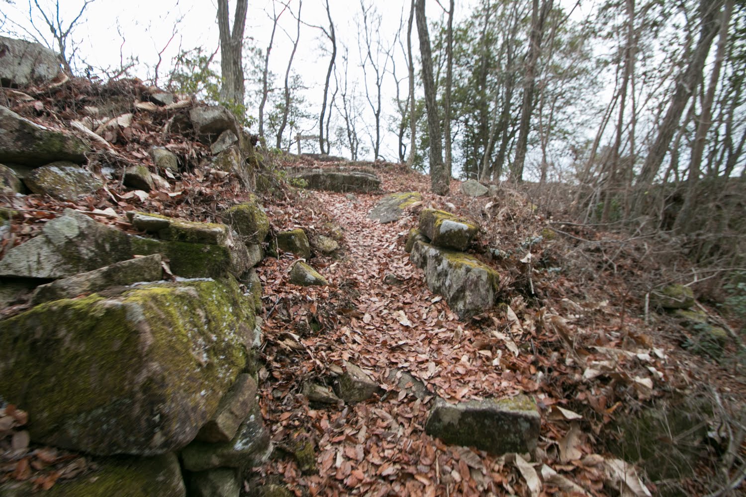 Tenjinyama Castle (Bizen) -When it goes around it comes around- | Ken's ...