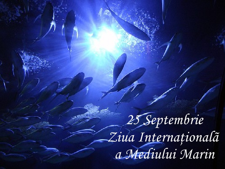 CLASA NOASTRĂ: 25 SEPTEMBRIE- ZIUA INTERNAȚIONALĂ A MEDIULUI MARIN