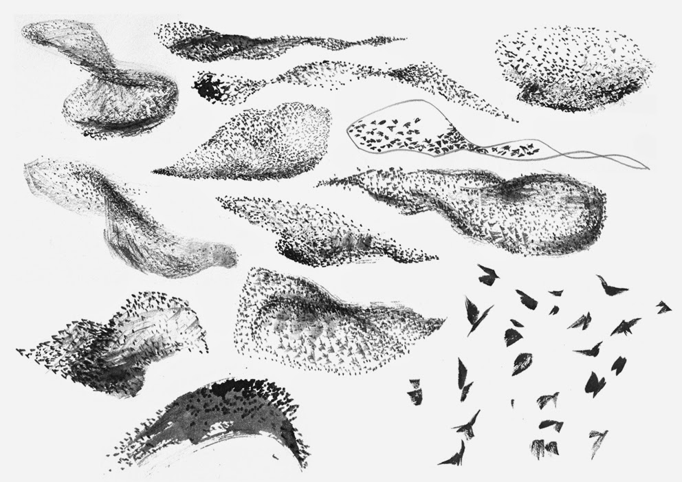 Matt Dawson: murmuration screen print designs...