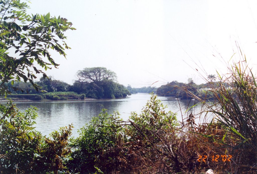 NotiGrillo - Las Noticias Al momento: Acula Veracruz