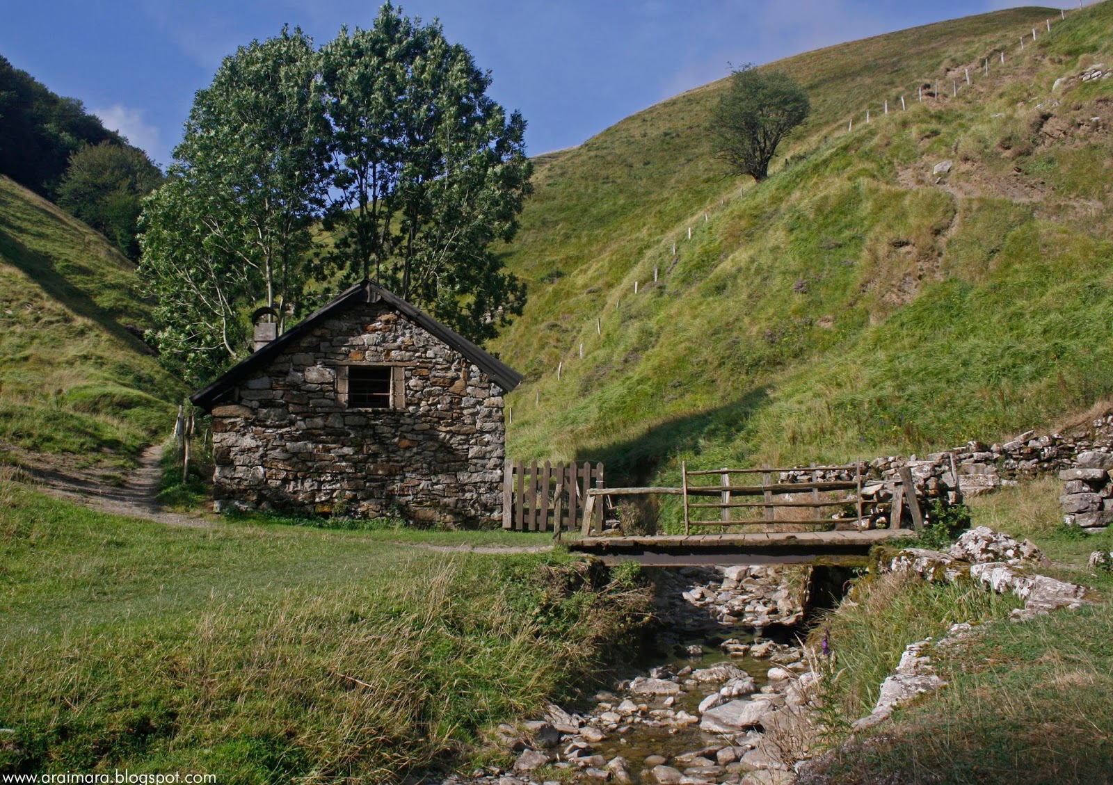 araimara: Irati, isiltasunaren basoa / Irati, el bosque del silencio