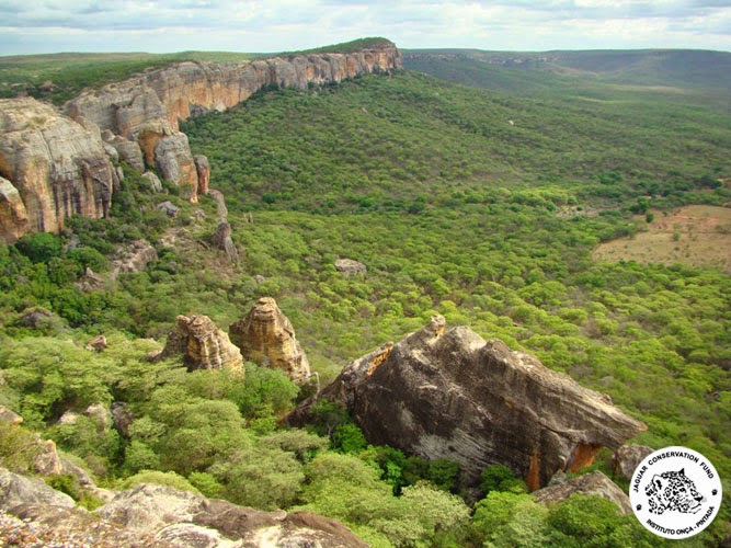 CAATINGA, BIOMA BRASILEIRO