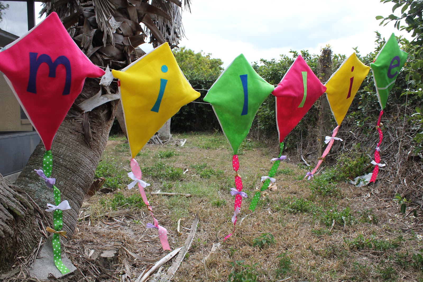 First Birthday Party - 5 - Welcoming Kites | nasagreen