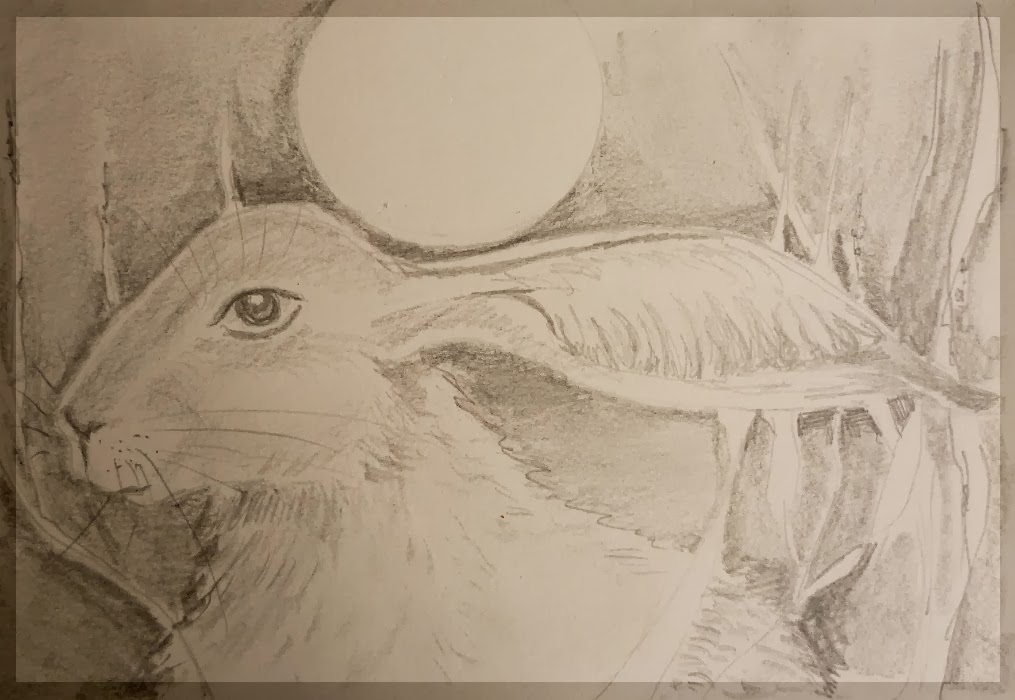 Greylady's Hearth: My Drawing of a Moon Hare