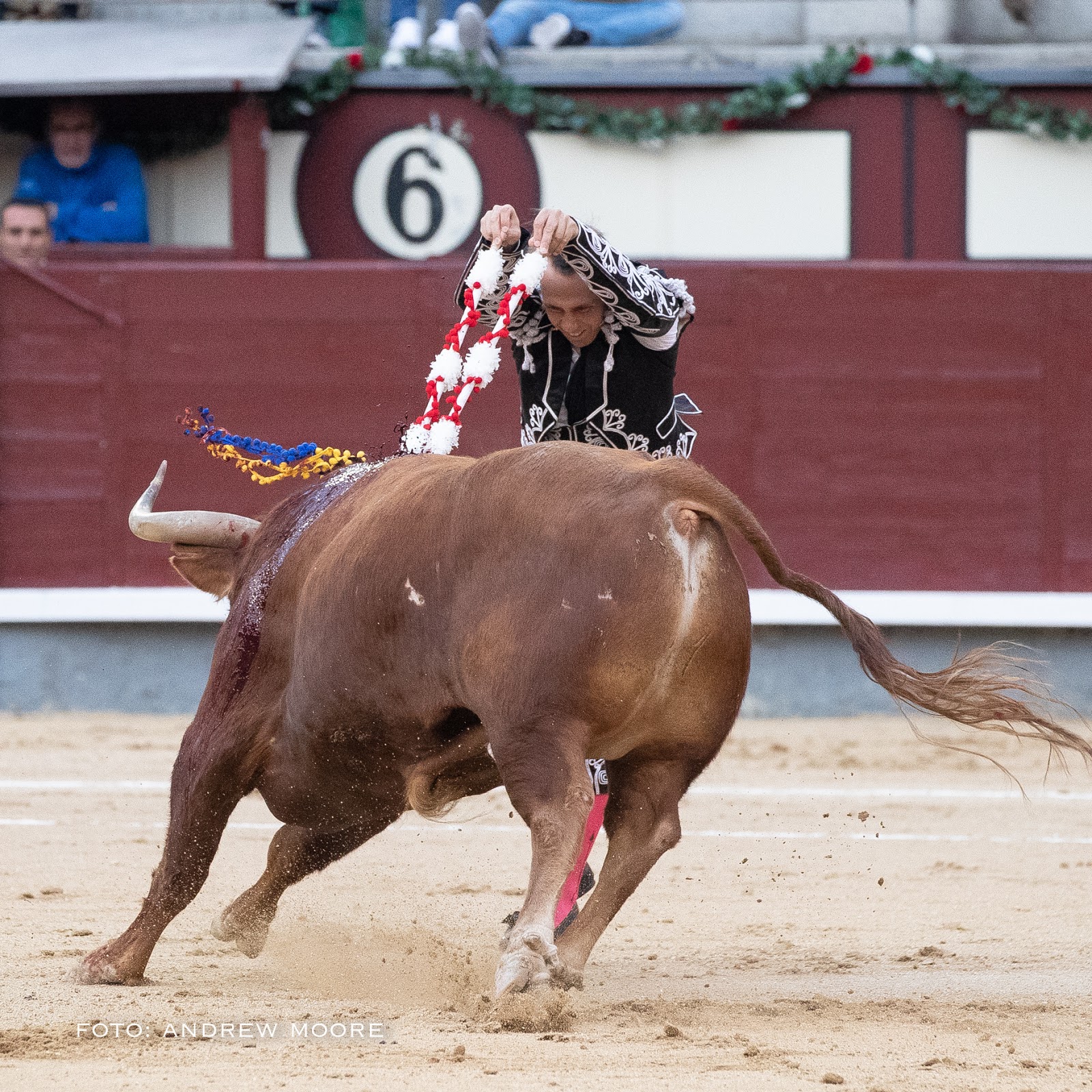 Toro, Torero y Afición: Javier Cortés , Torero ( Fotos Andrew Moore)