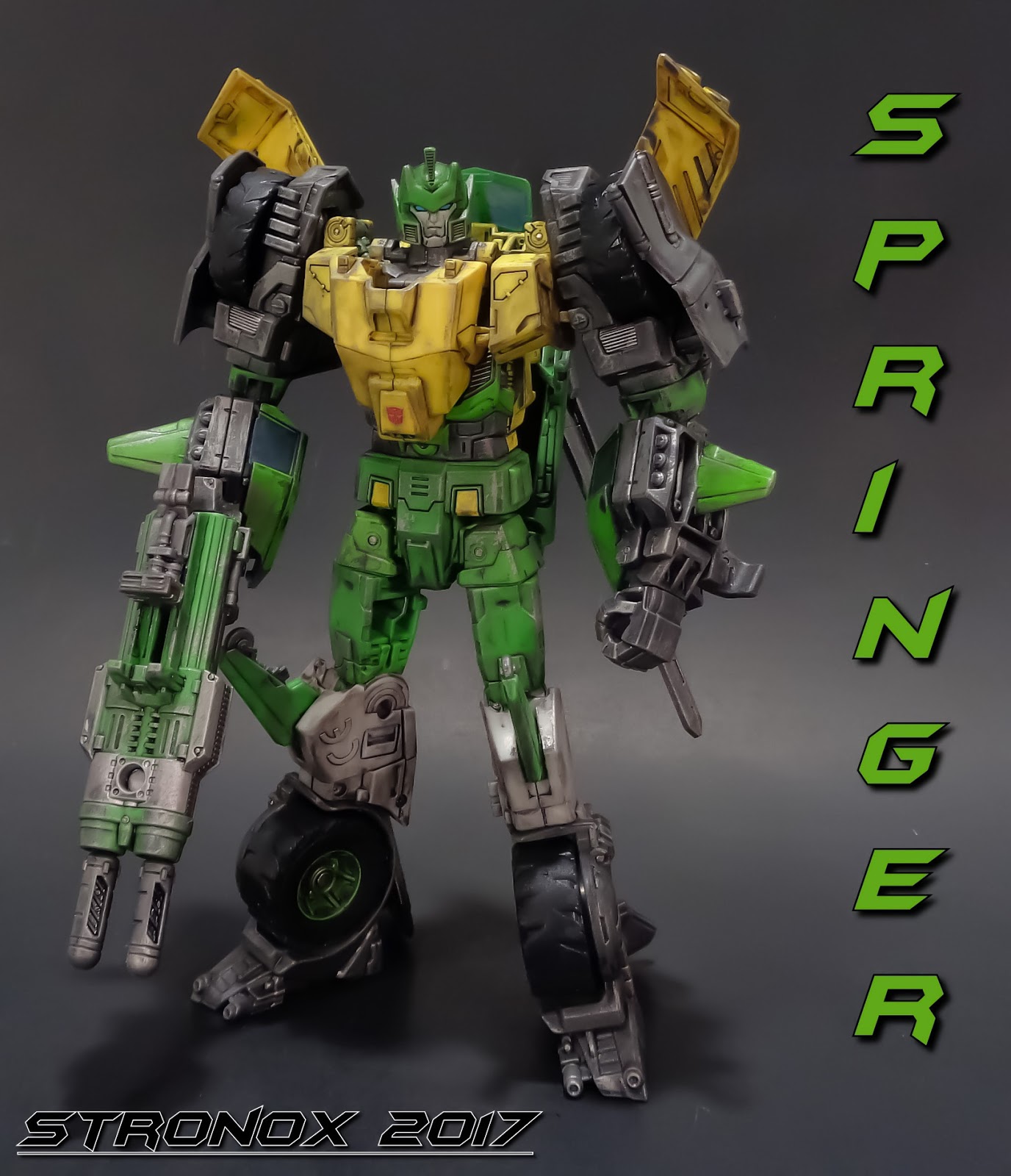 Springer Transformers