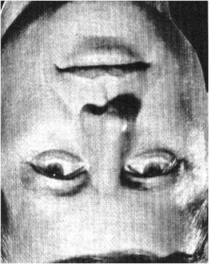 DIBUJO ARTÍSTICO 1 2011/12 CARMEN LAFFÓN: Ejercicio 4. Dibujo invertido 1