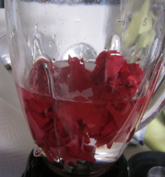 Ravings of a Mad Crafter: The Soaking Paper and Making Paper