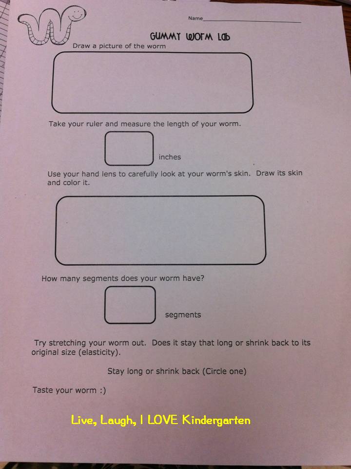 We drew our worm (some traced...so cute), measured it, drew its skin ...