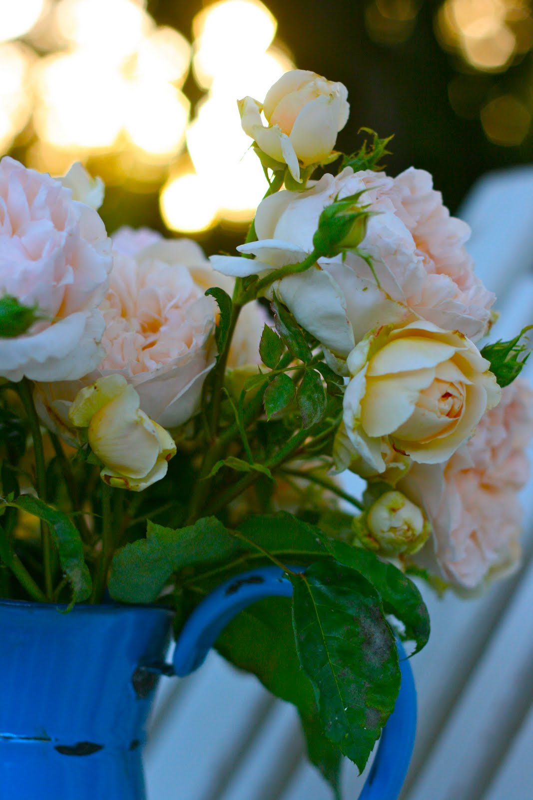 The Polished Pebble: The First Roses of Spring