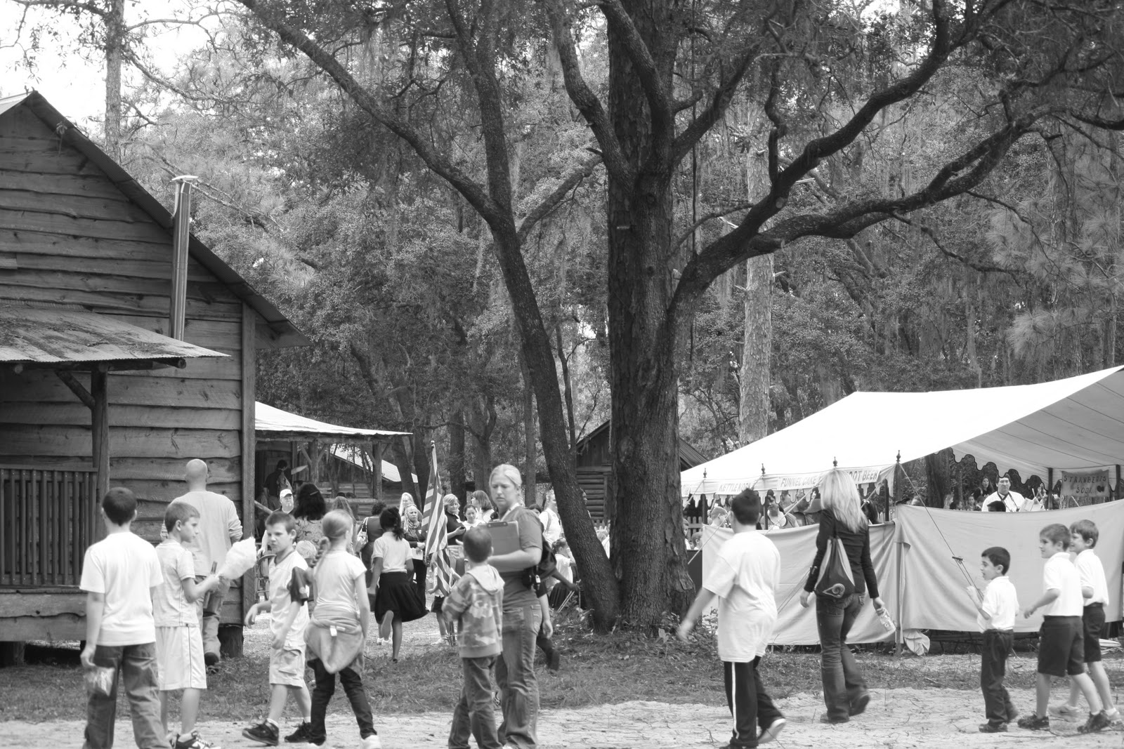 The Blue Whale and Other Travel Tales: Ocali Days at Silver River ...