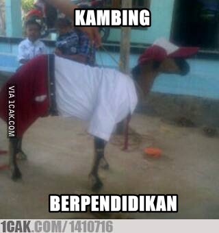 20 Meme 'Pesan Terakhir Kambing & Sapi' Ini Ceriakan Idul Adhamu
