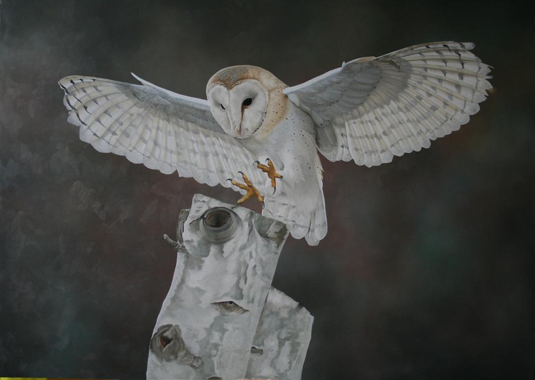 Clive Meredith Wildlife Art: Barn owl update