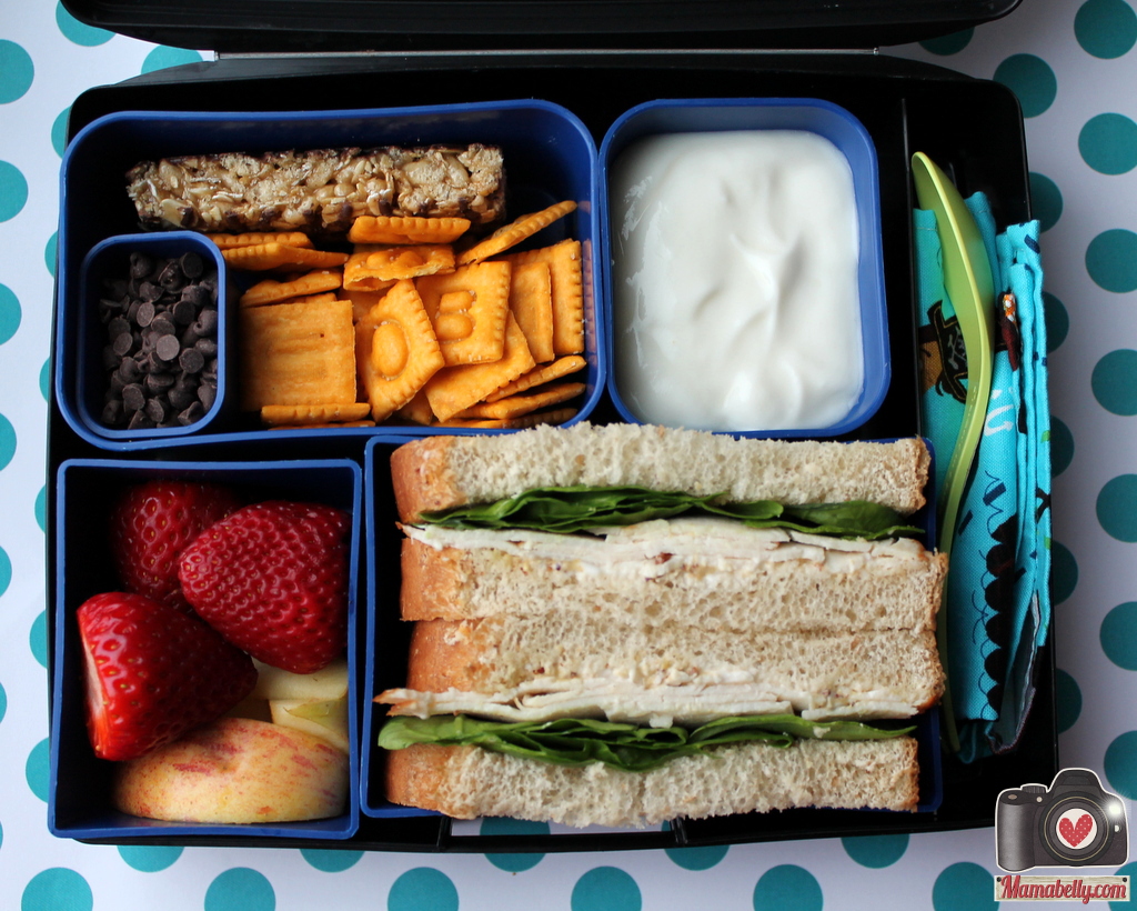 Mamabelly's Lunches With Love: Laptop Lunches