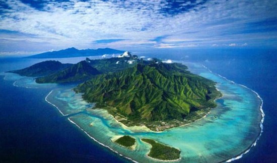 La vida de una lectora: Reseña: Especies Invasoras | Agustín B. Palatchi