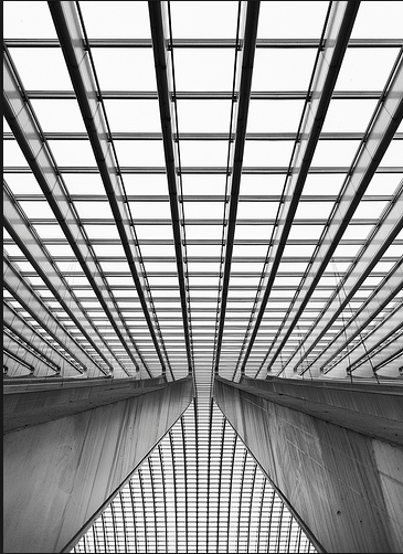 Photography Unit 1: List of the Formal Elements