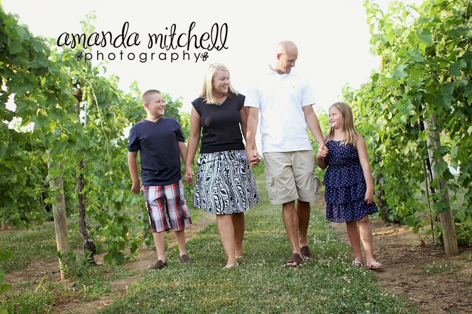 Amanda Mitchell Photography