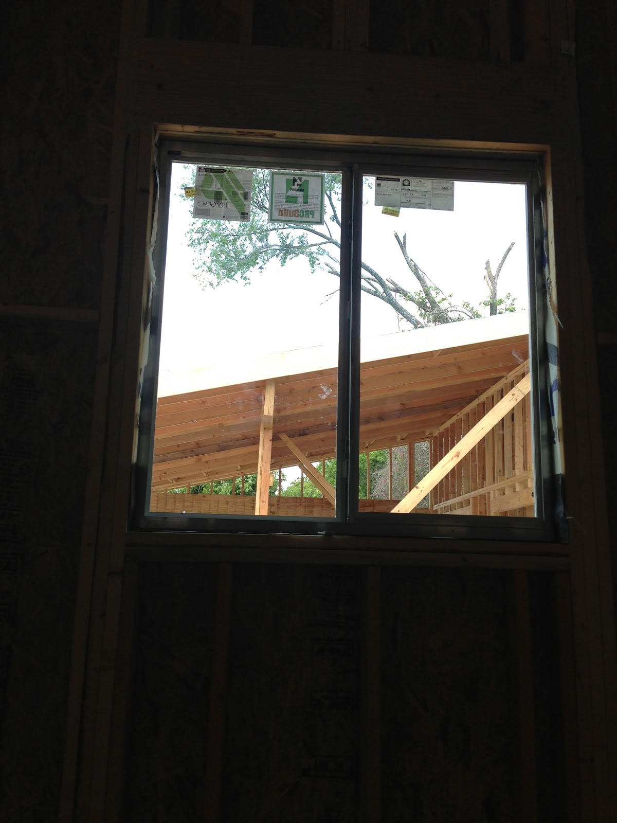 This New House: House Wrap, Windows, and Siding begins