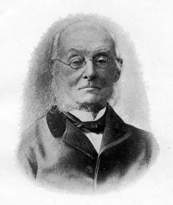 HISTORIAS ZOOLOGICAS: EL ASOMBROSO PATO ZAMBULLIDOR CHICO (Oxyura ...