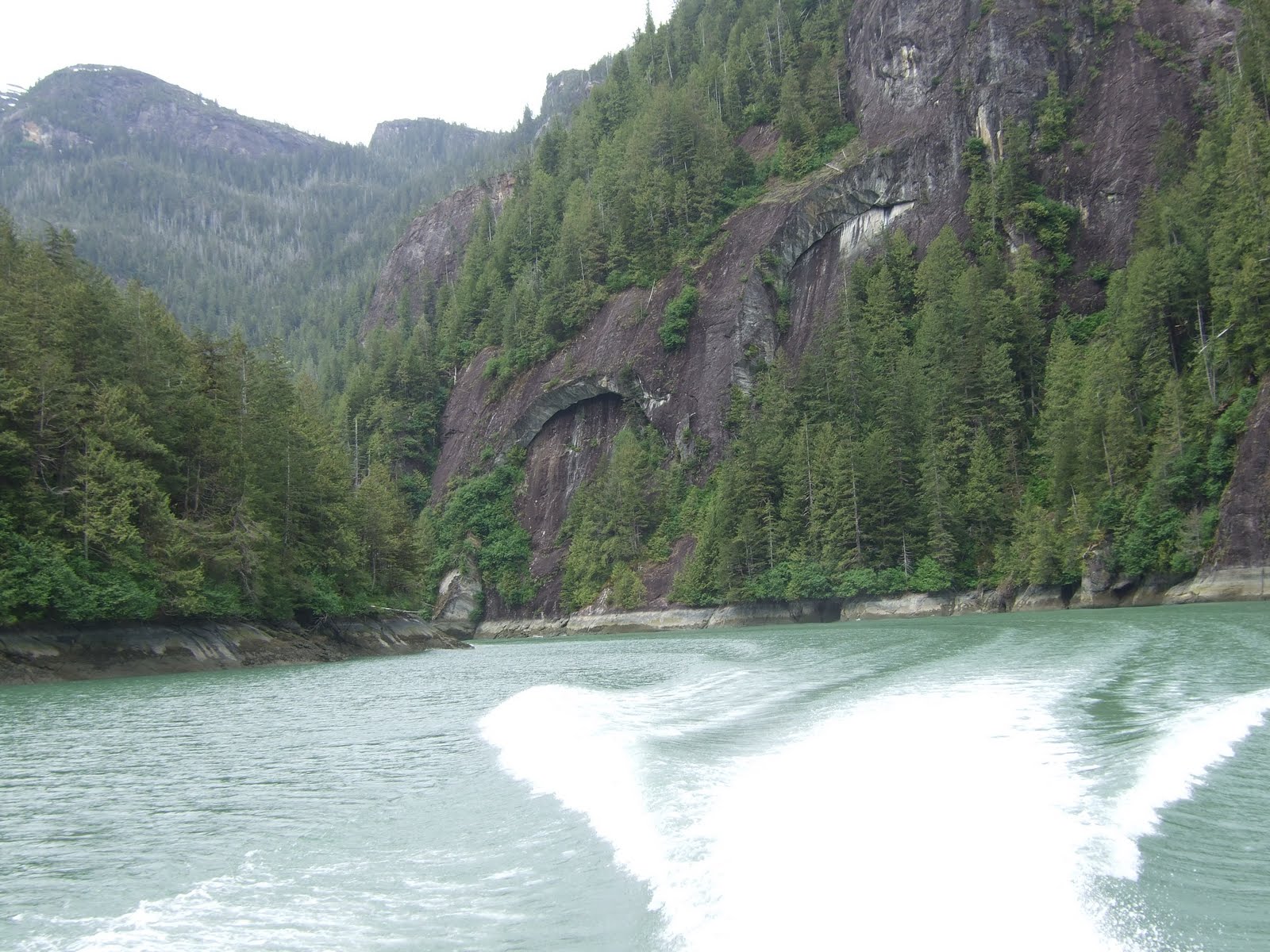 Dispatches from Camp Ketchikan: George Inlet Lodge's Boat Tour Around ...