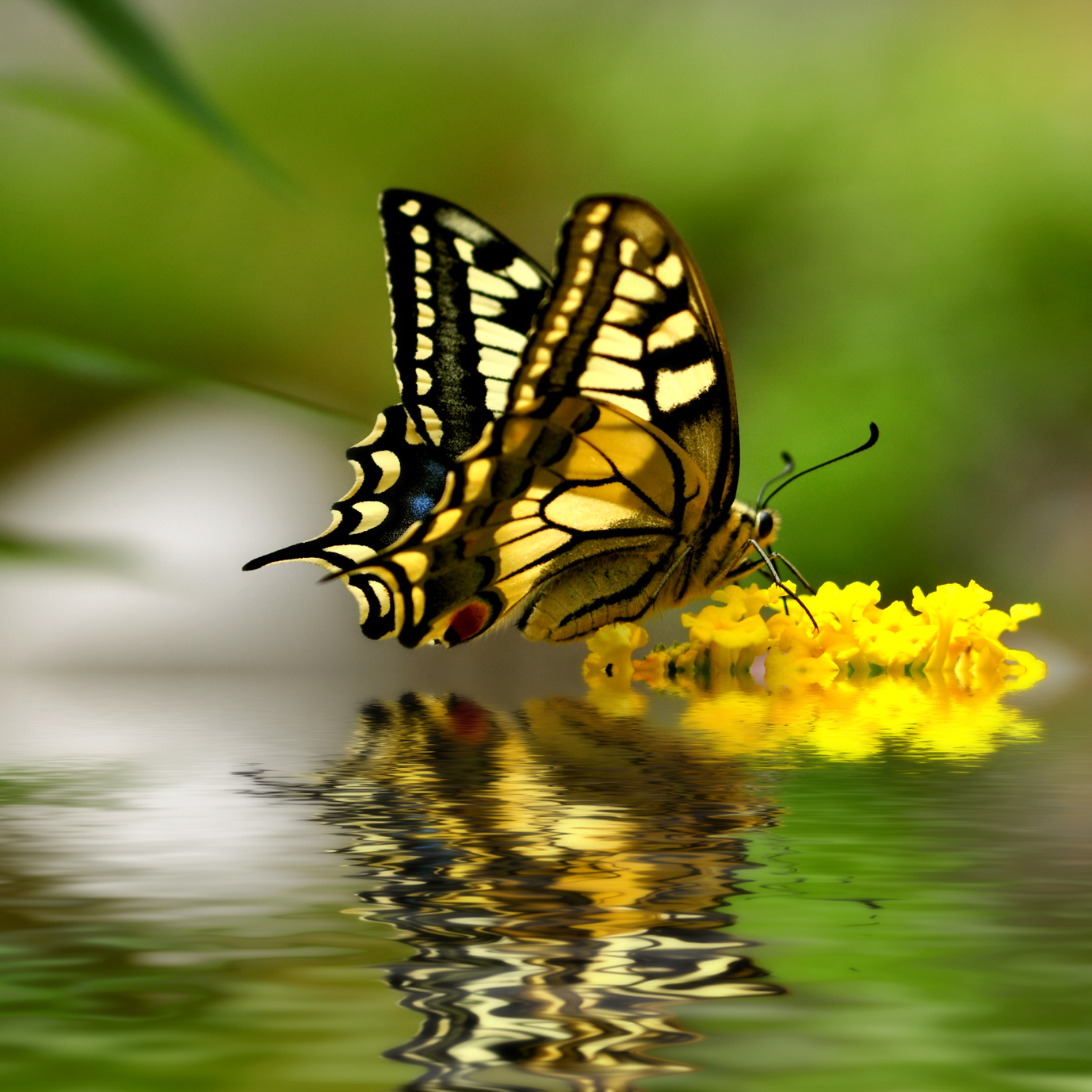 Souhl Center: The Process of Healing Part 1