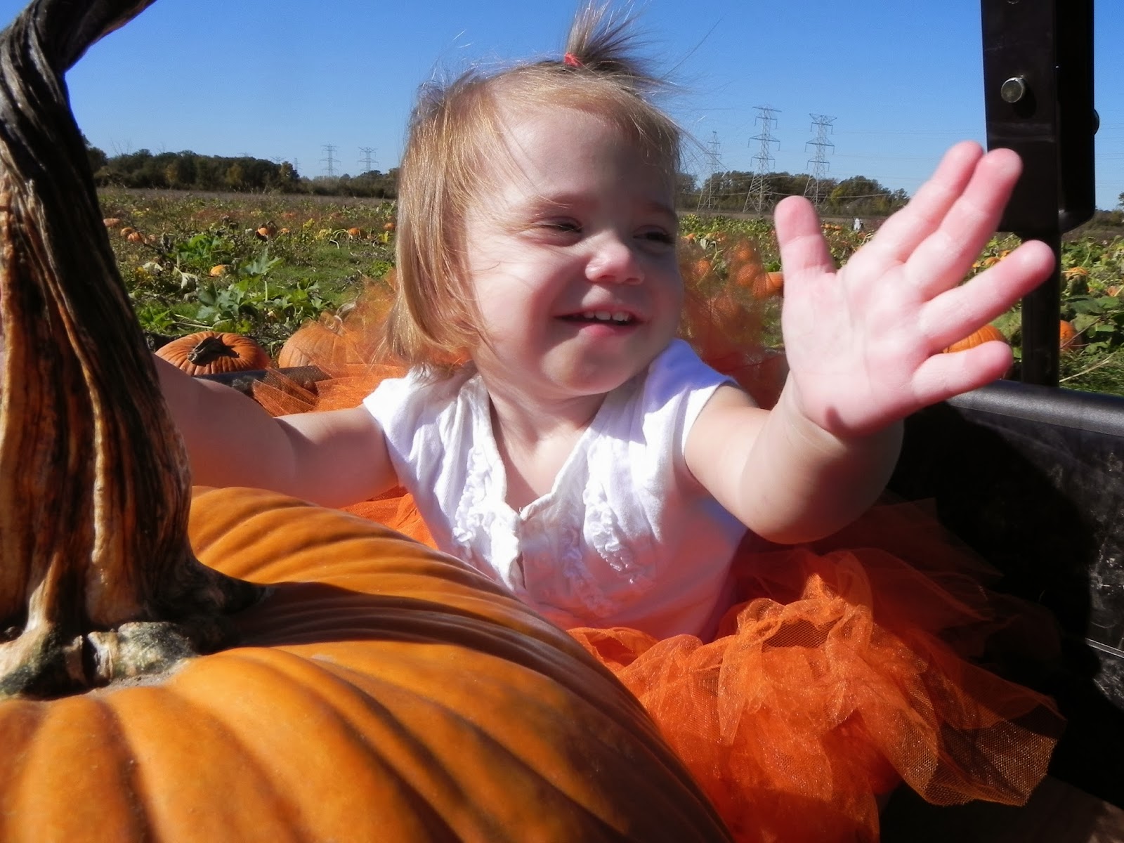 Leah Loo, Jelly Boo, and Teddy Too: Pumpkin Patch