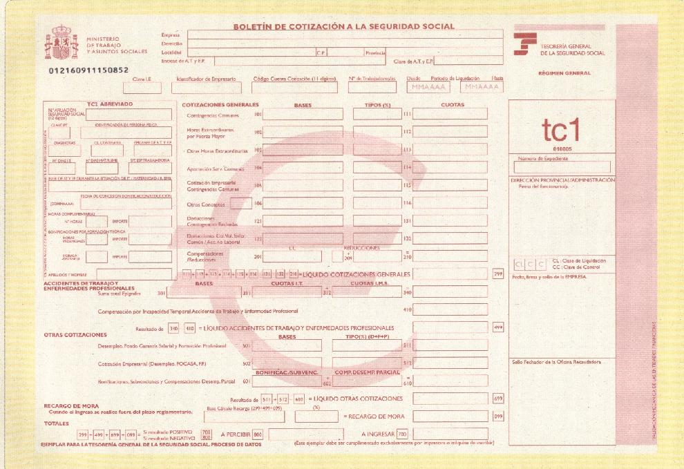 Gestión Financiera: Modelos Más Solicitados Para Financiación