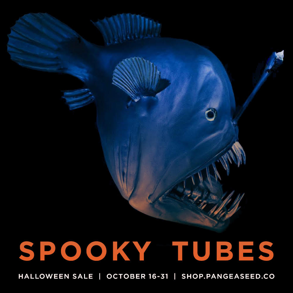 INSIDE THE ROCK POSTER FRAME BLOG: PangeaSeed Spooky Tube Sale