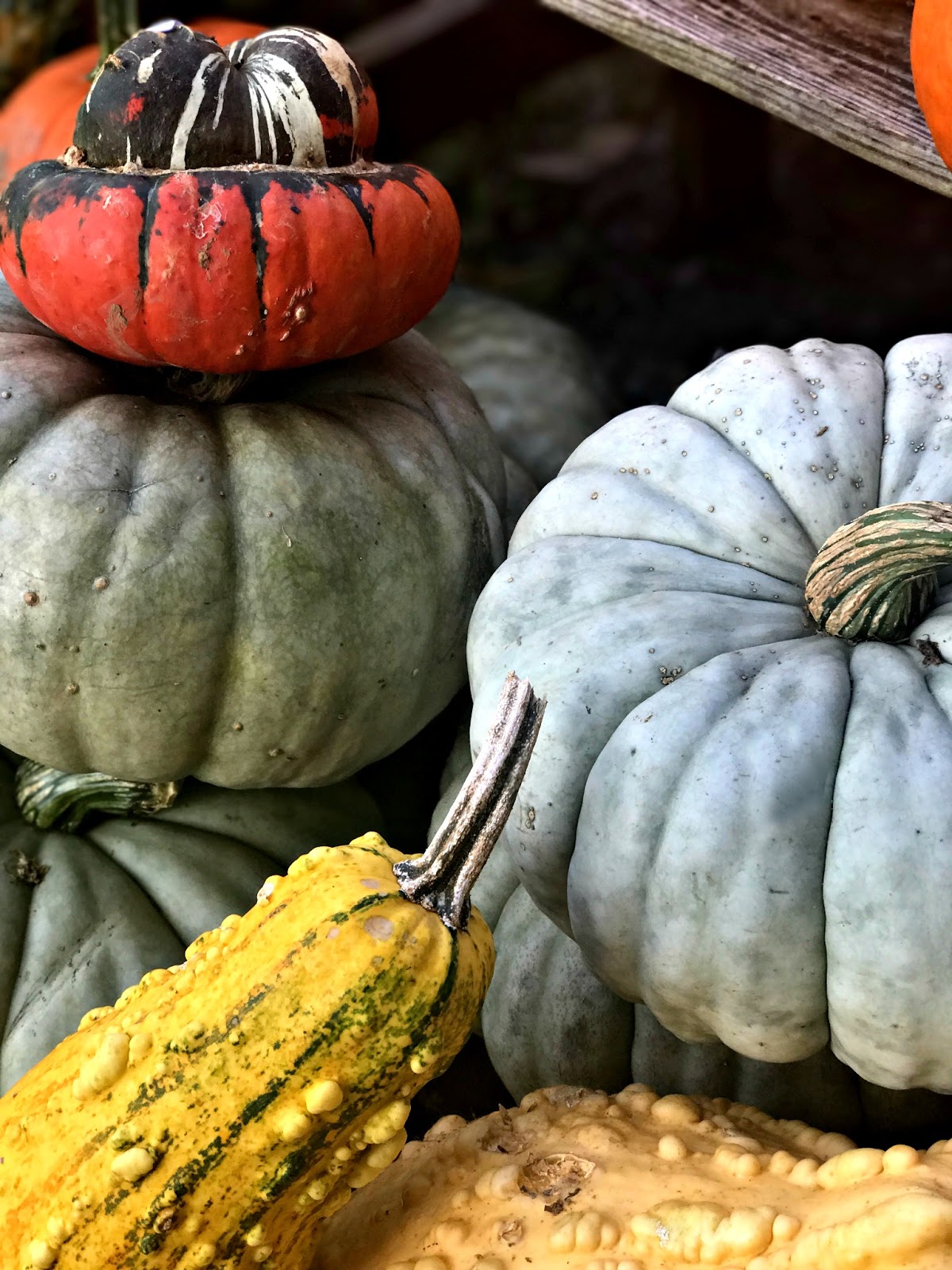 A Little Loveliness: Celebrating Autumn Pumpkins