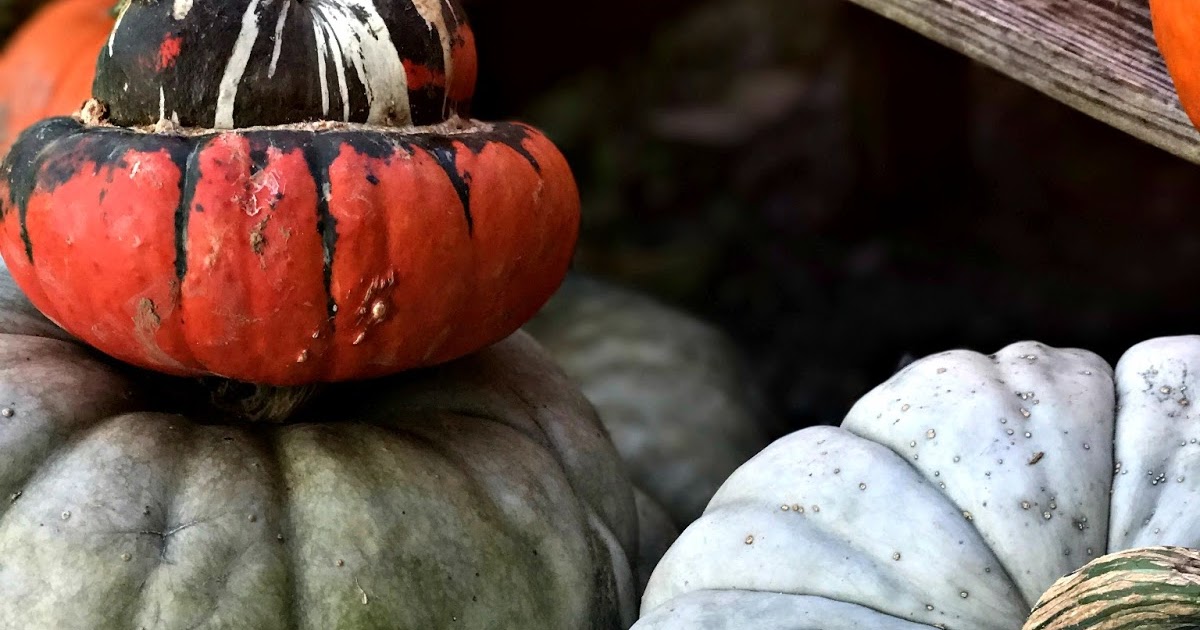 A Little Loveliness: Celebrating Autumn Pumpkins