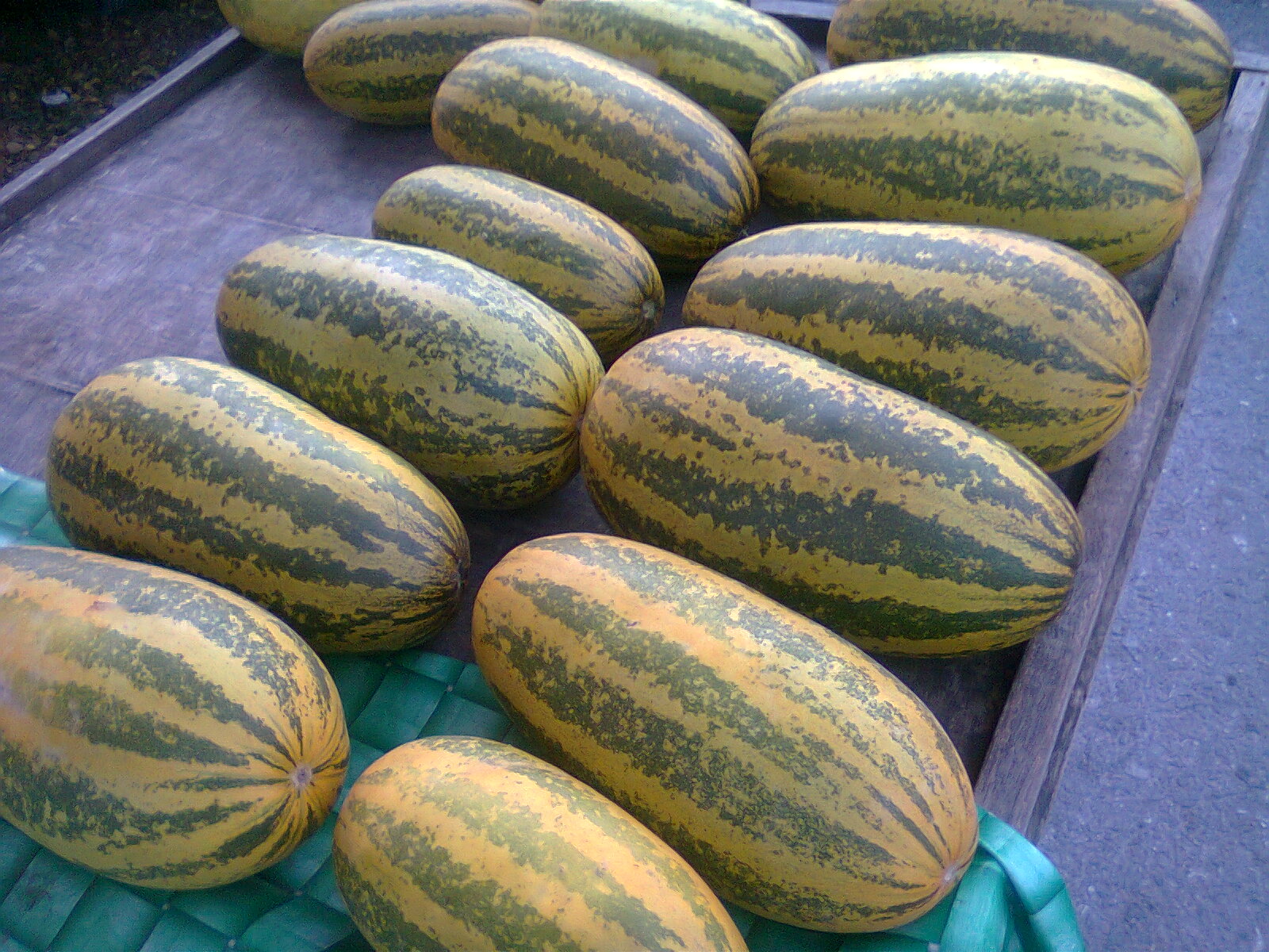 buah-buahan tempatan: February 2012