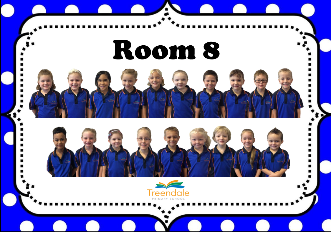 Treendale Primary School Room 8: April 2014