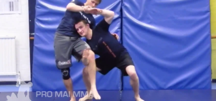 Way of MMA: May 2012