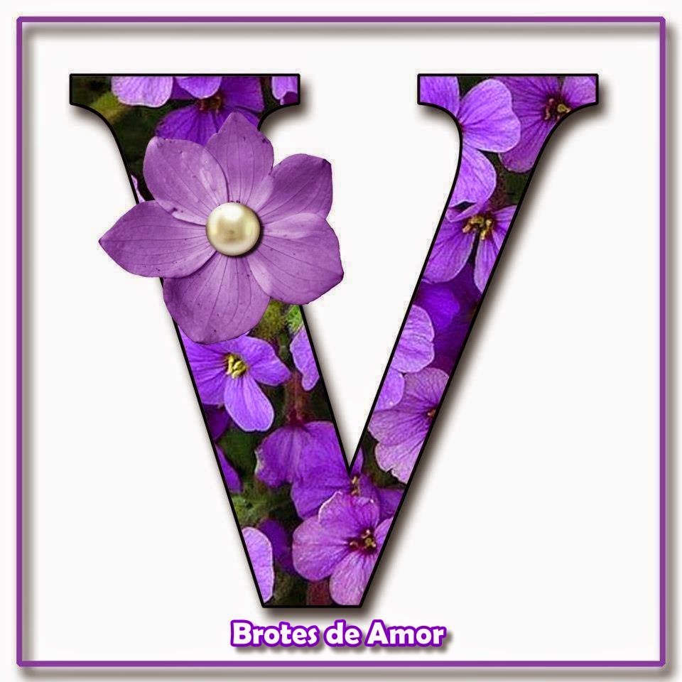 Brotes de Amor: Abecedario en hermosas violetas