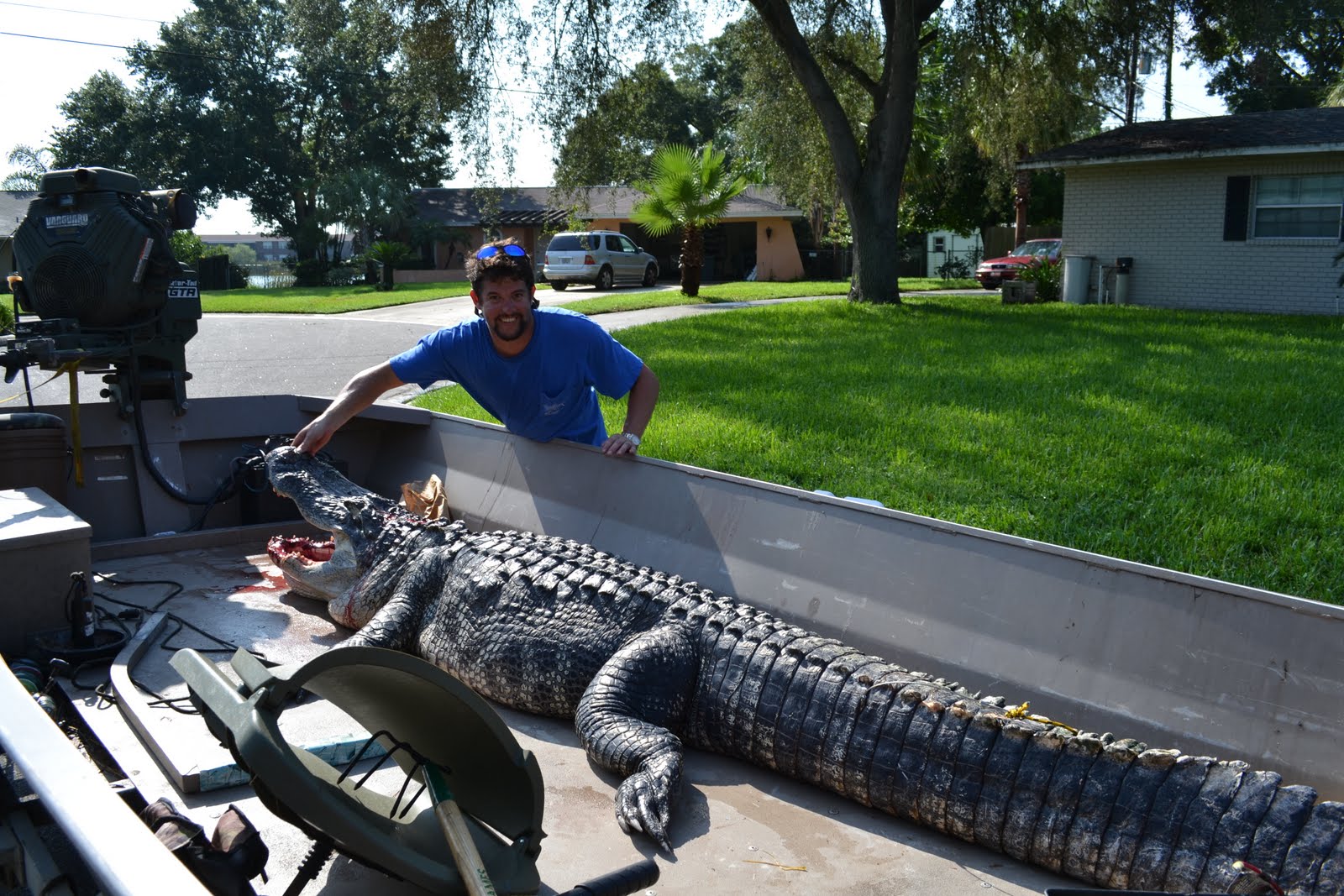 The Wild Life: The Trophy Gator