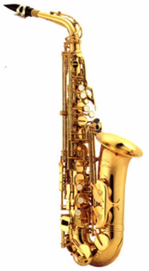 Pictures Of The Saxophone Family at Nicholas Warrior blog