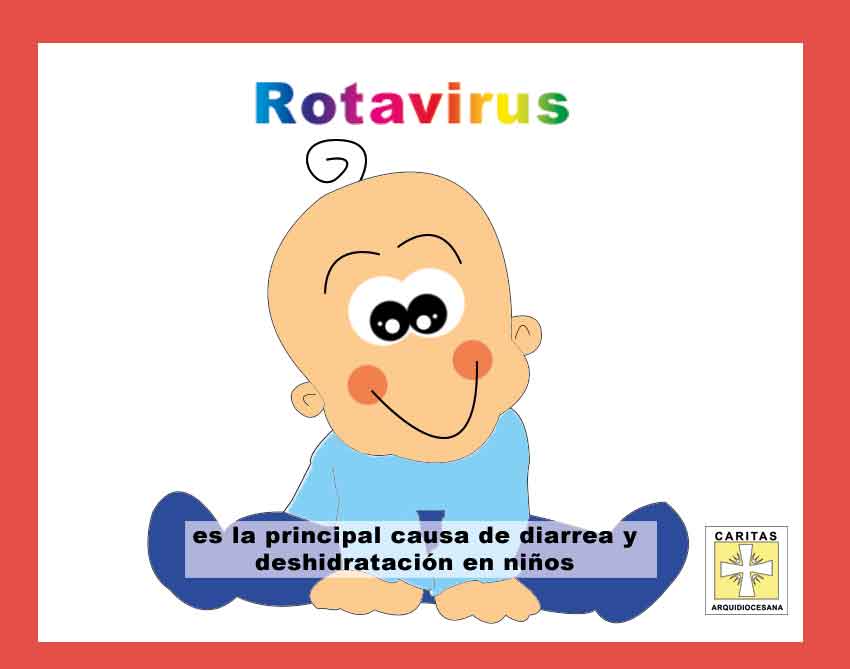 Enfermedades y su prevención