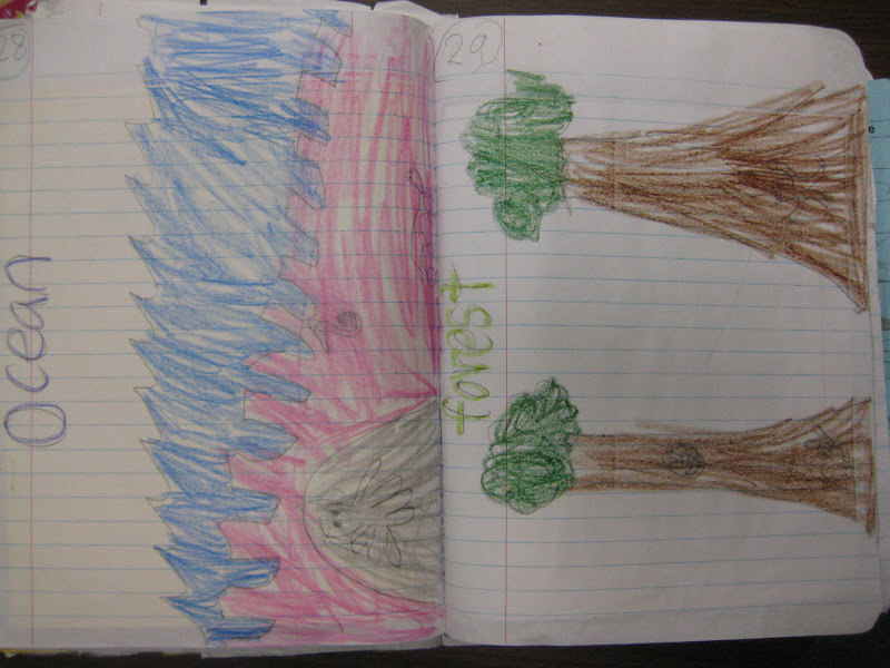 Science Notebooking: Animal Adaptations - Adrienne Teaches