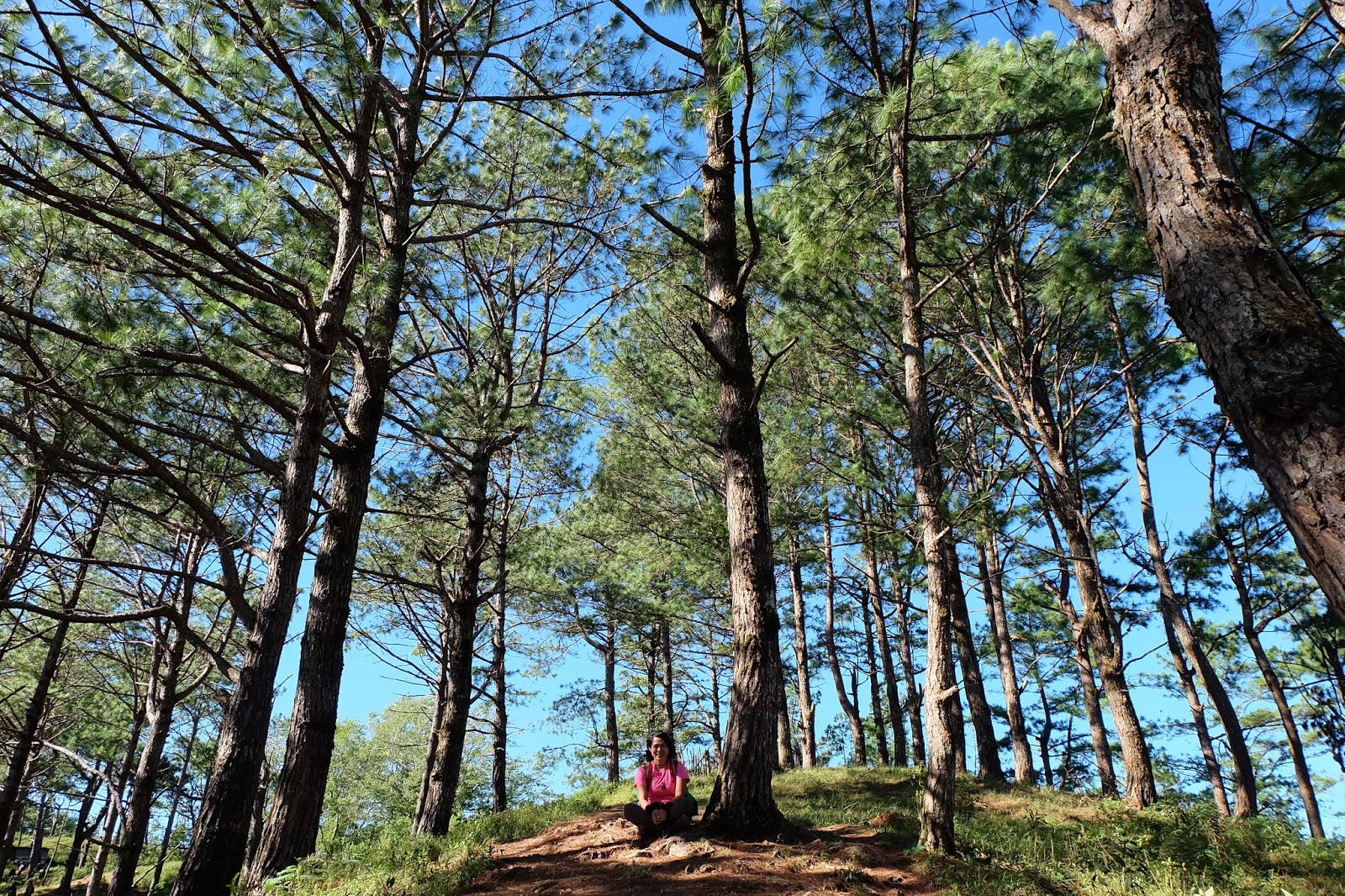A Day Hike in Mt. Ulap - From The Highest Peak to The Deepest Sea