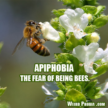 Collections: Phobias