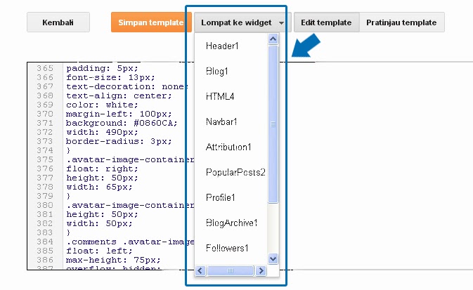2013 - Setyawan Evolution