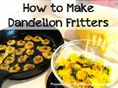 Dandelion Flower Recipes: Making Dandelion Fritters - Proverbs 31 Homestead