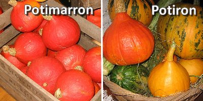 Quelle est la différence entre le potiron et le potimarron