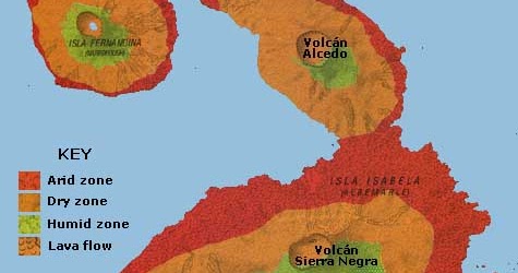 Isabela Island Visitor Sites Part III - Hiking the Volcanoes ...