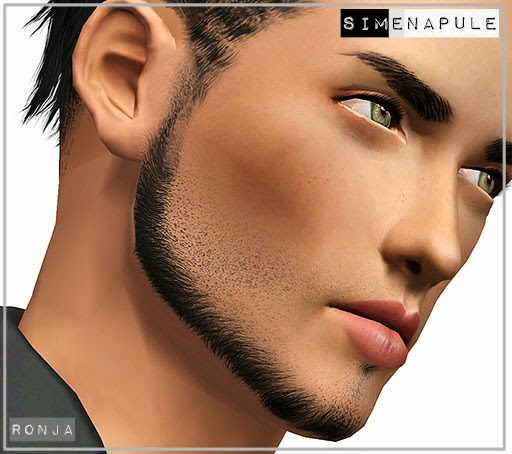 My Sims 3 Blog: New Facial Hair by Ronja